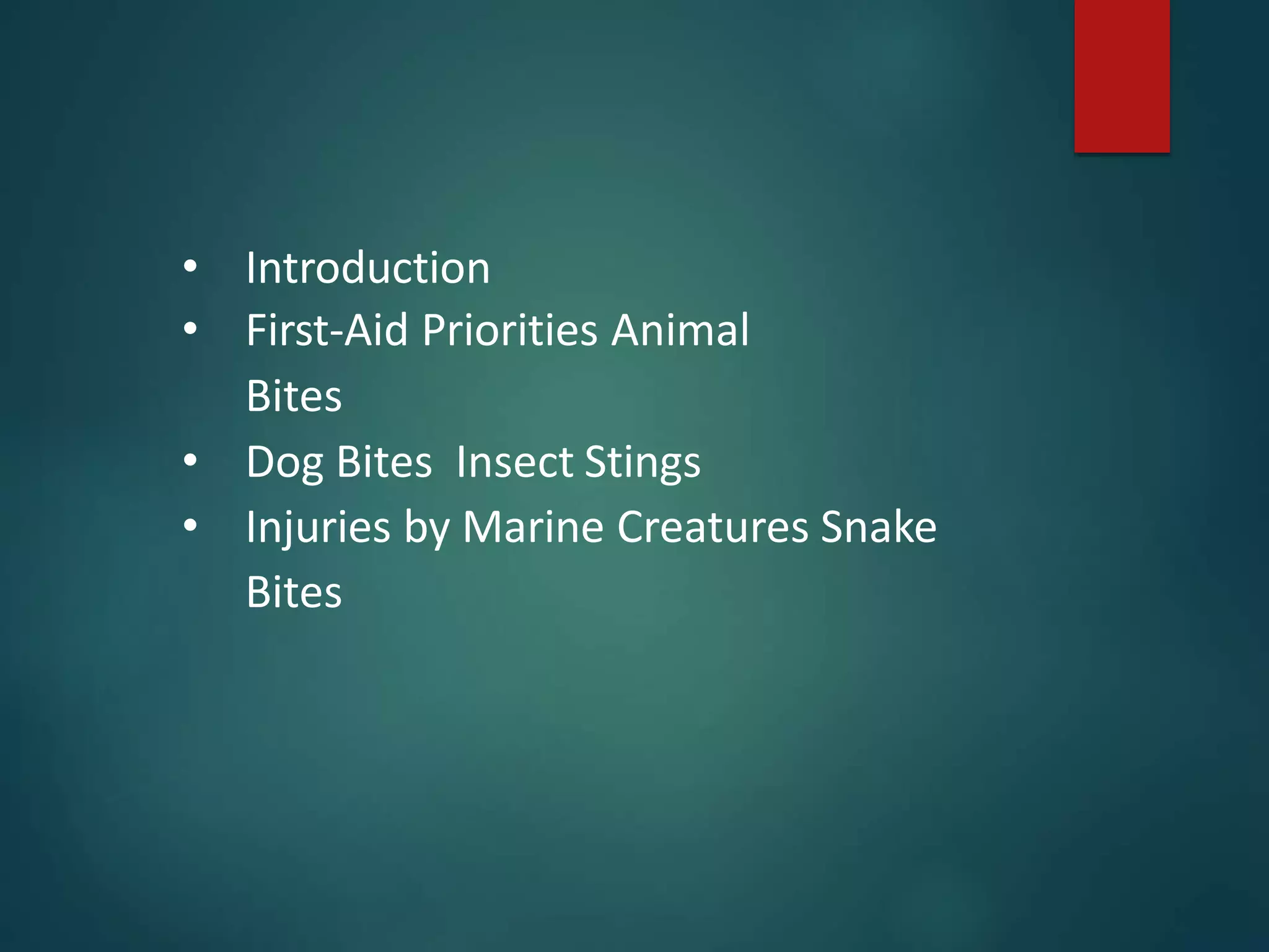 BITES AND STINGS.pptx