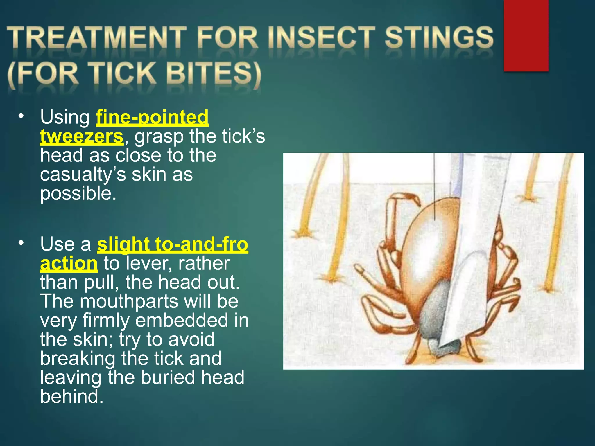 BITES AND STINGS.pptx