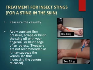 BITES AND STINGS.pptx