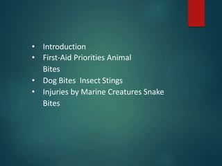 BITES AND STINGS.pptx