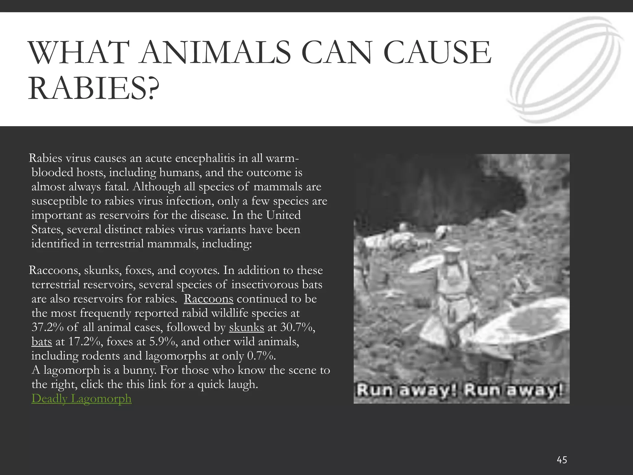 Bites and stings April 2019 | PPT