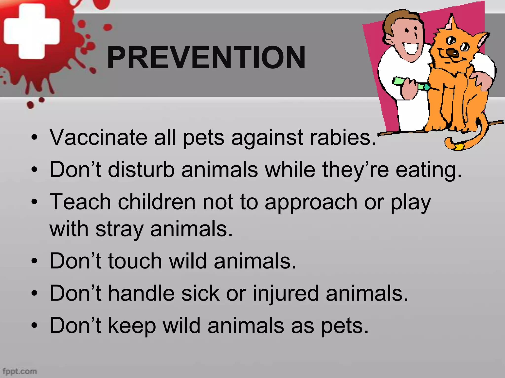 Bites first aid | PPTX