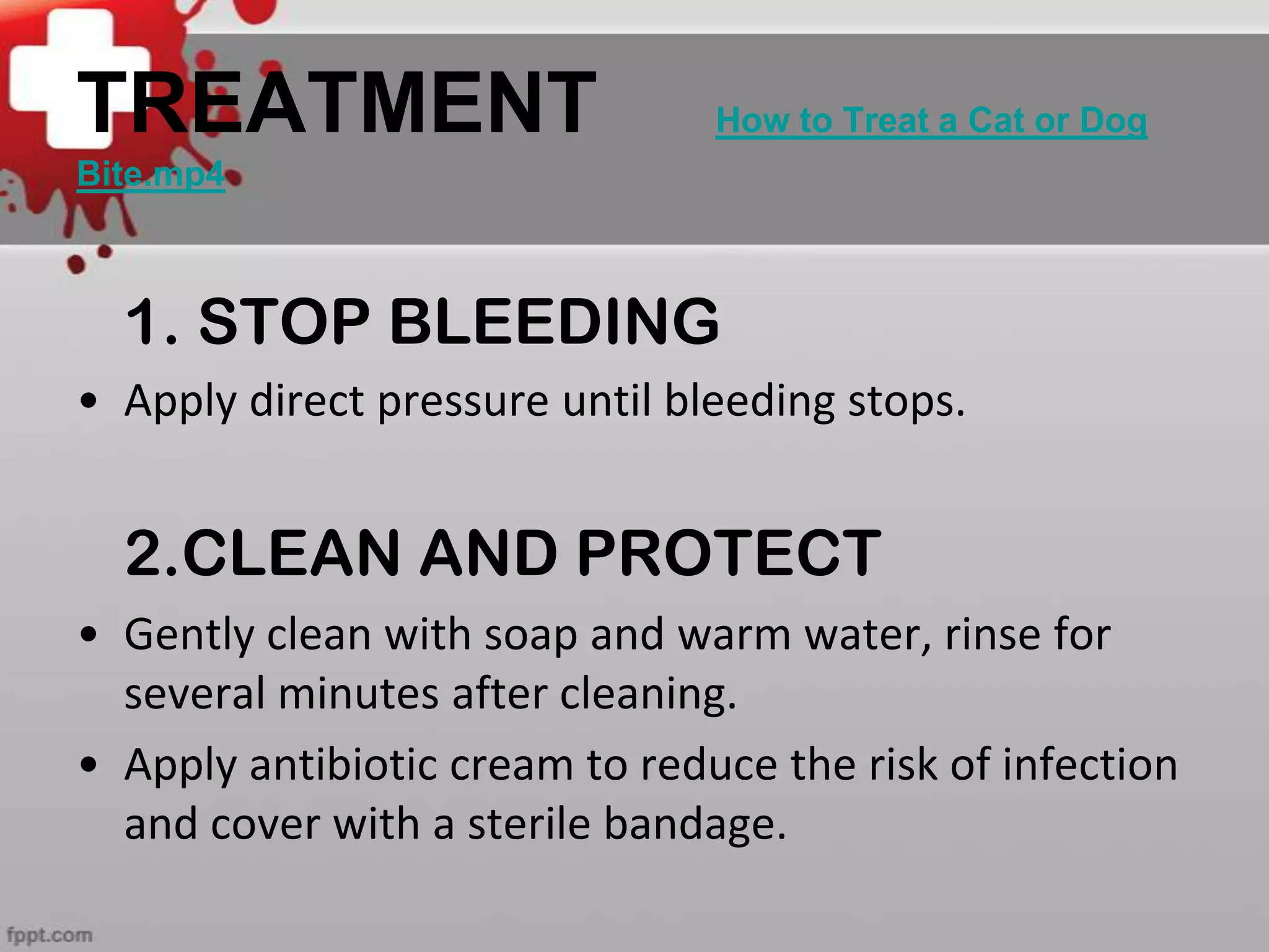 Bites first aid | PPTX