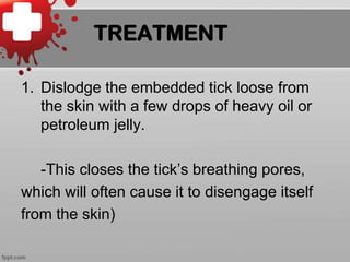 Bites first aid | PPTX