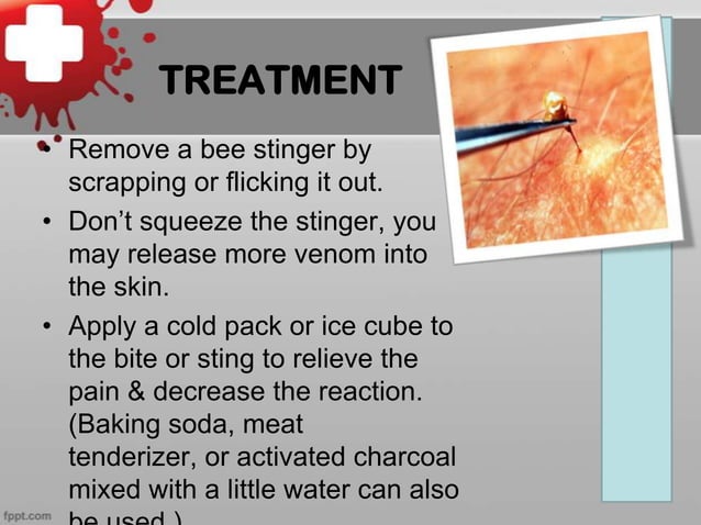 Bites first aid | PPTX