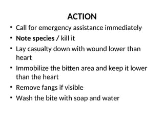 BITES + STINGS ppt.ppt first Aid and BLS | PPT