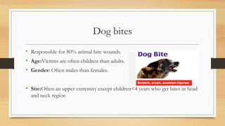Bite wound infection final ppt.pptx medical | PPTX