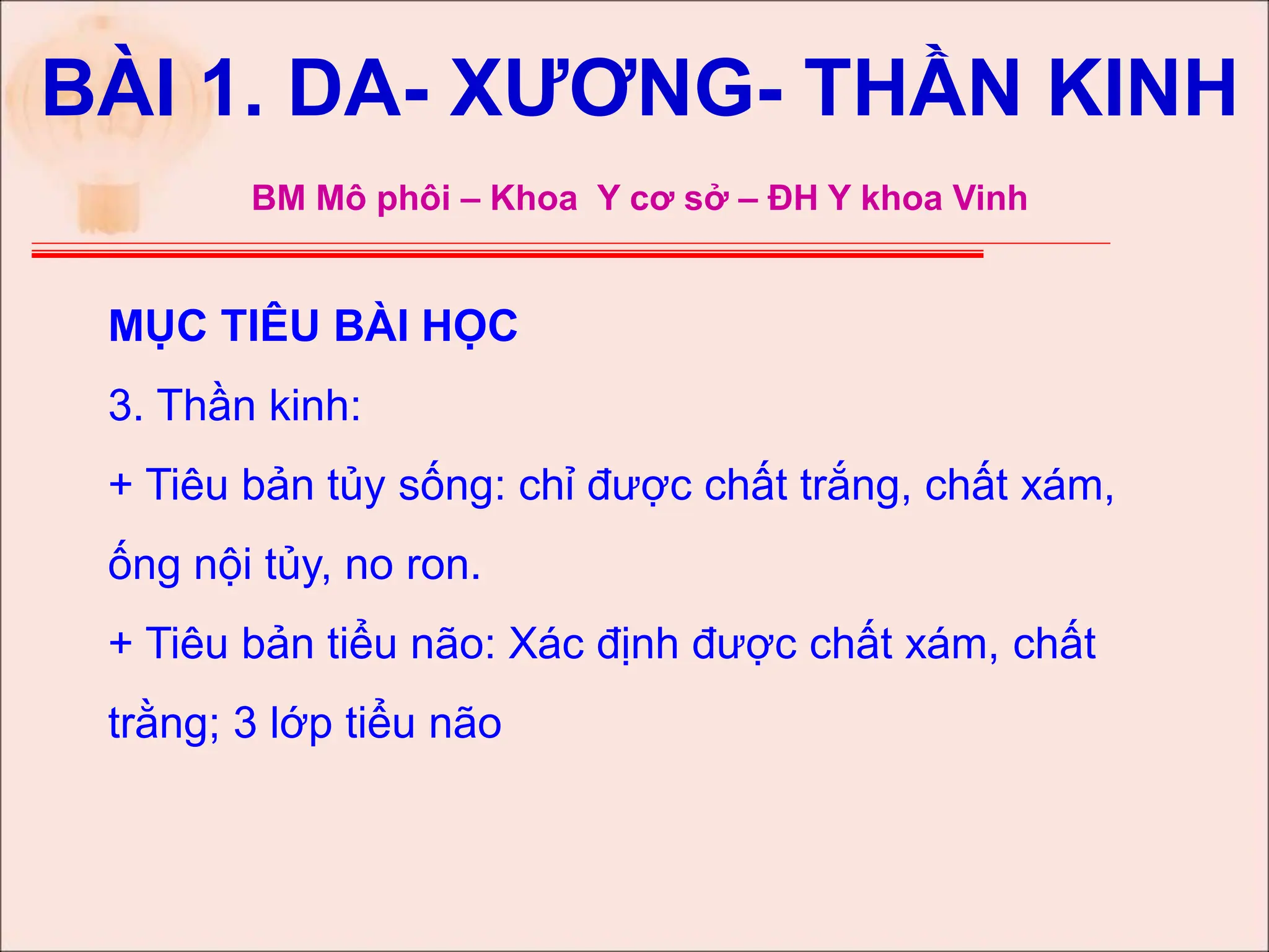 Bài thực hảnh 1.pptx