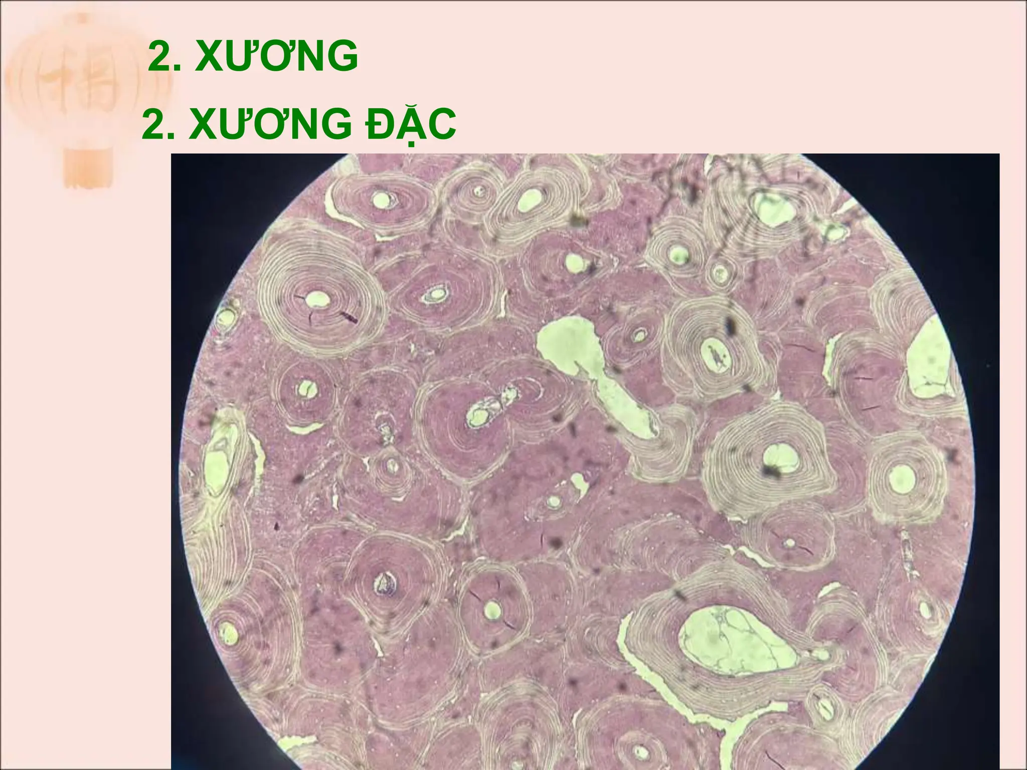 Bài thực hảnh 1.pptx