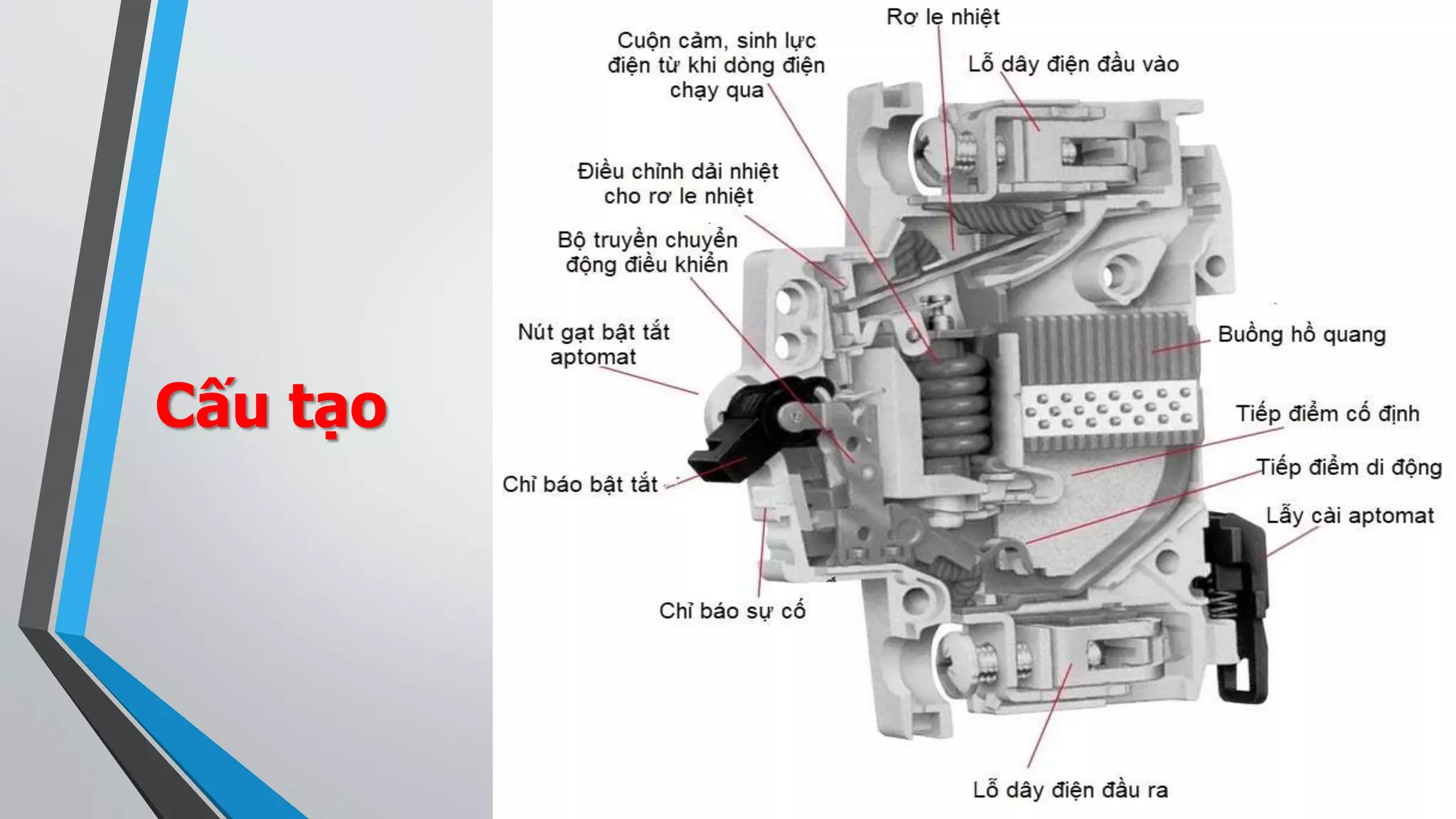 Bài thuyết trình KCĐ.pptx
