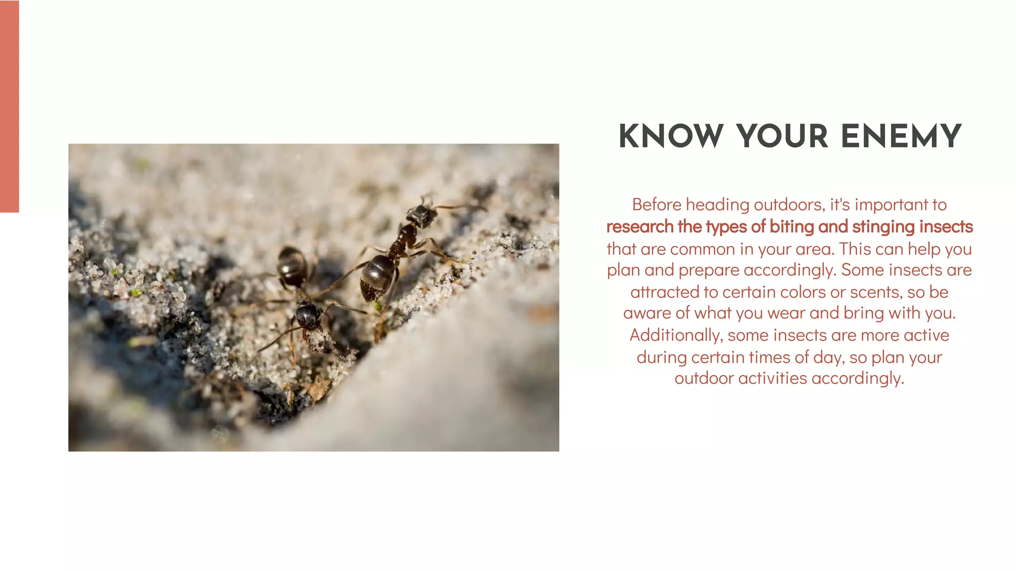 Biting Bugs and Stinging Insects Managing Pest Problems Outdoors.pdf