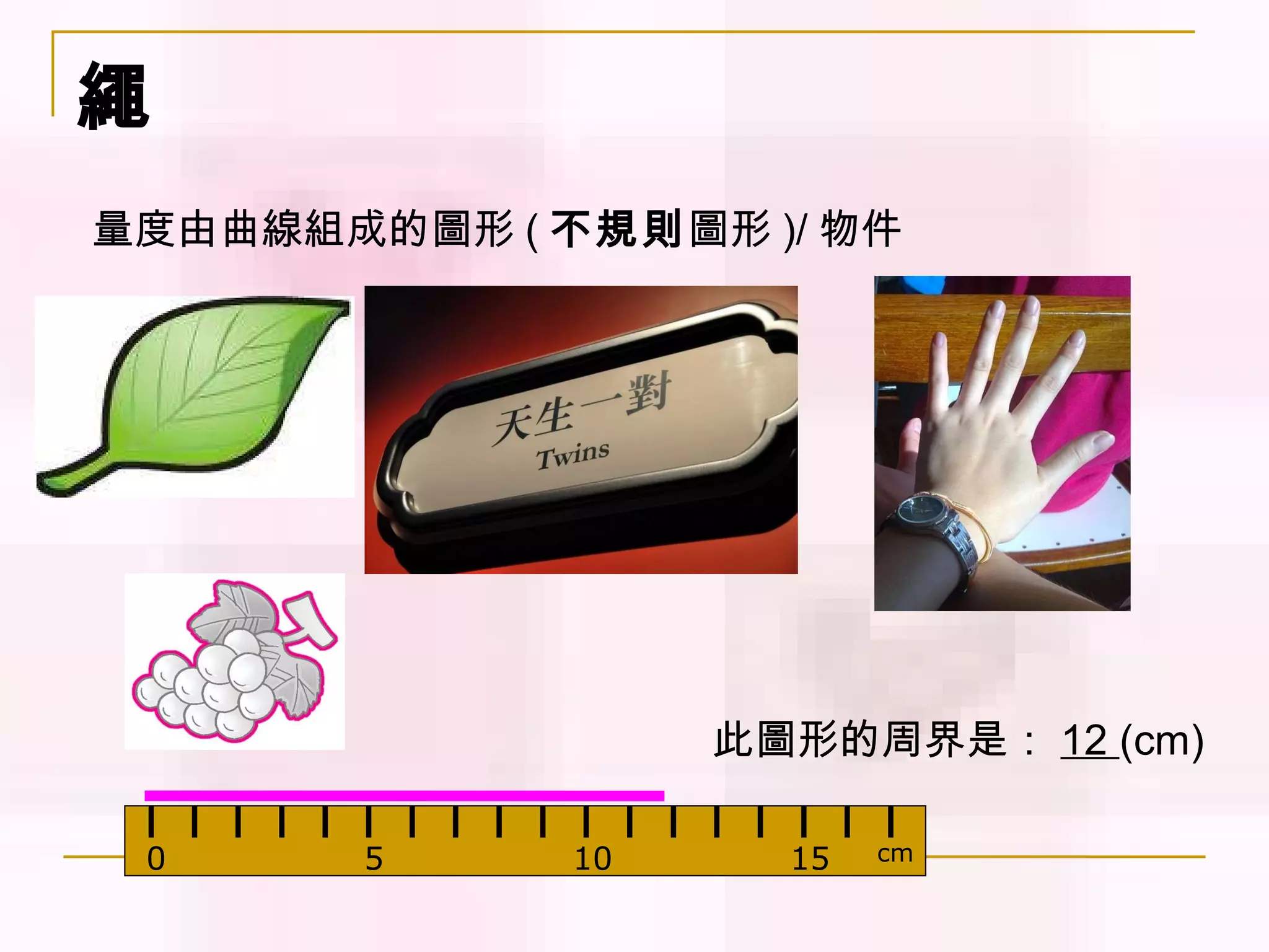 Bit lee tsz ching | PPT | Science