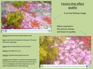 Bitmap and vector | PPTX | Graphics Software | Computer Software and ...