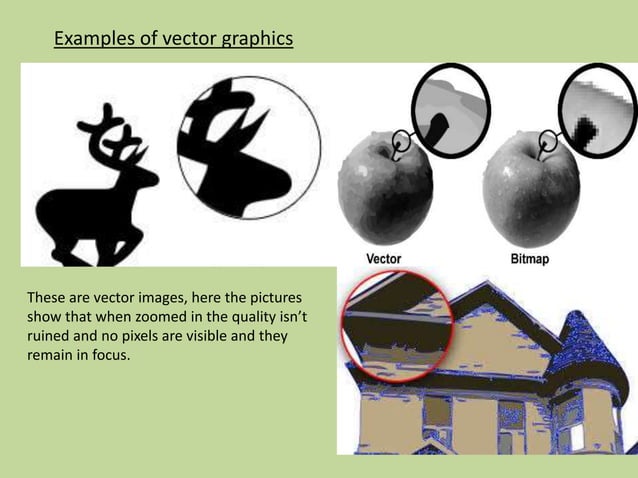 Bitmap and vector | PPT