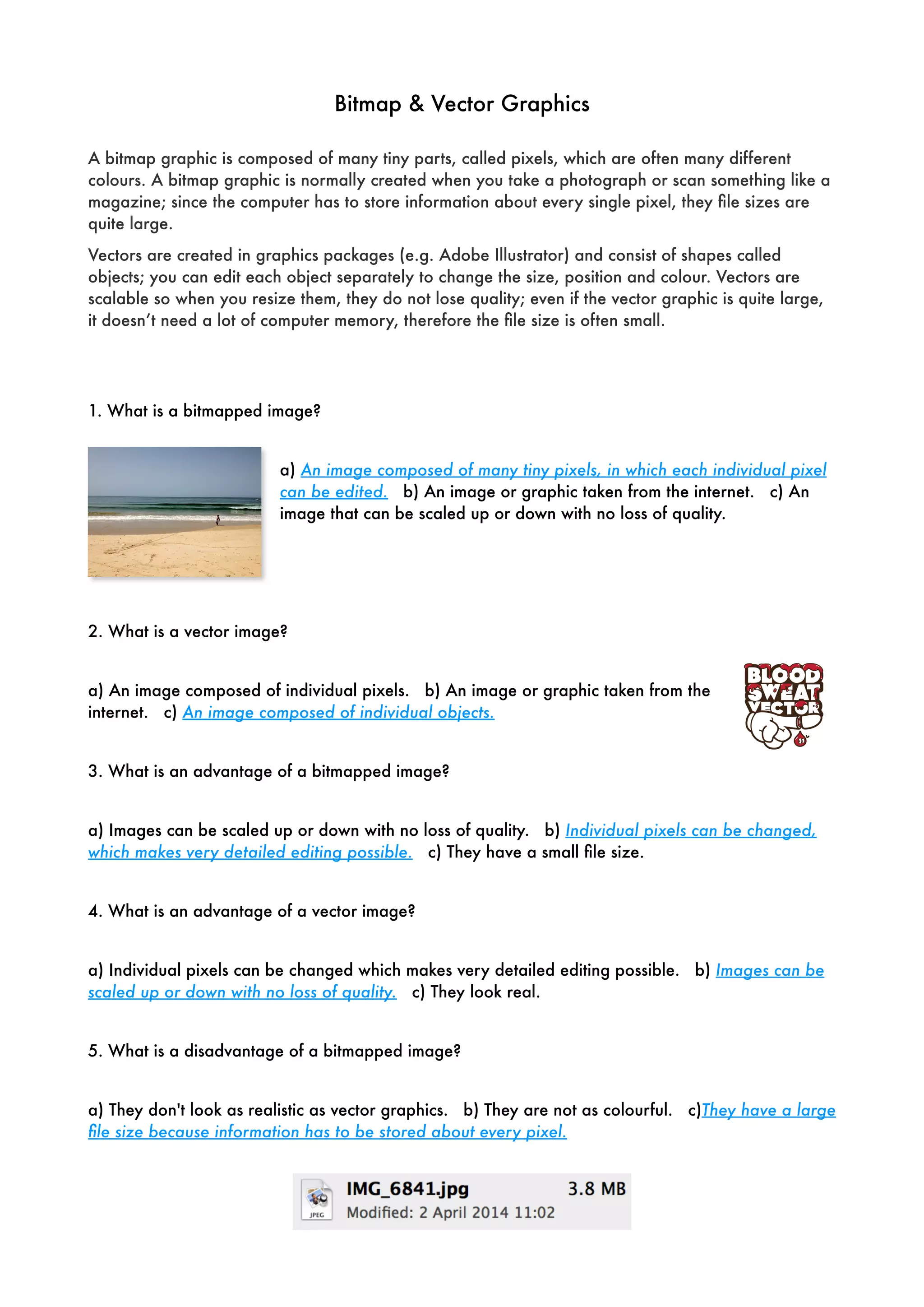 Bitmaps and vectors pdf | PDF