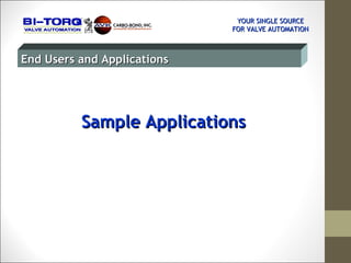 BI-TORQ Capabilities & General Overview | PPT