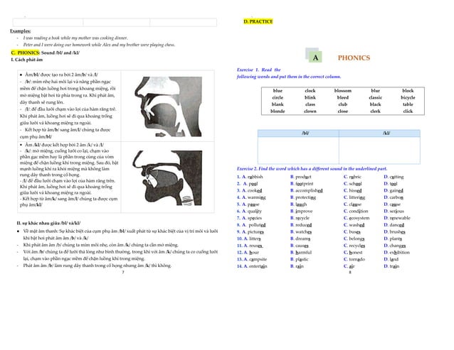 BÀI TẬP BỔ TRỢ 4 KĨ NĂNG TIẾNG ANH LỚP 8 - HK2 - GLOBAL SUCCESS - NĂM HỌC 2023-2024 - CÓ FILE ...