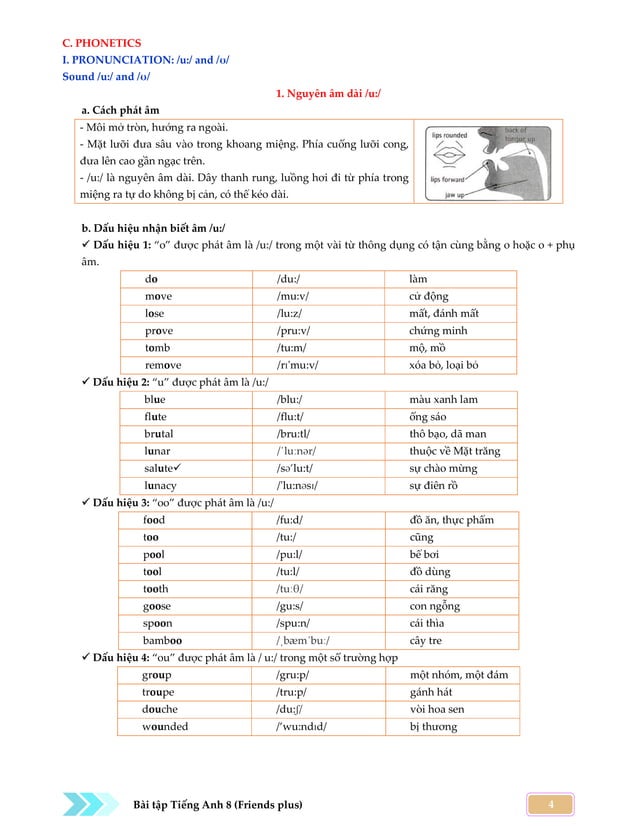 BÀI TẬP BỔ TRỢ TIẾNG ANH LỚP 8 - CẢ NĂM - FRIENDS PLUS - NĂM HỌC 2023 ...