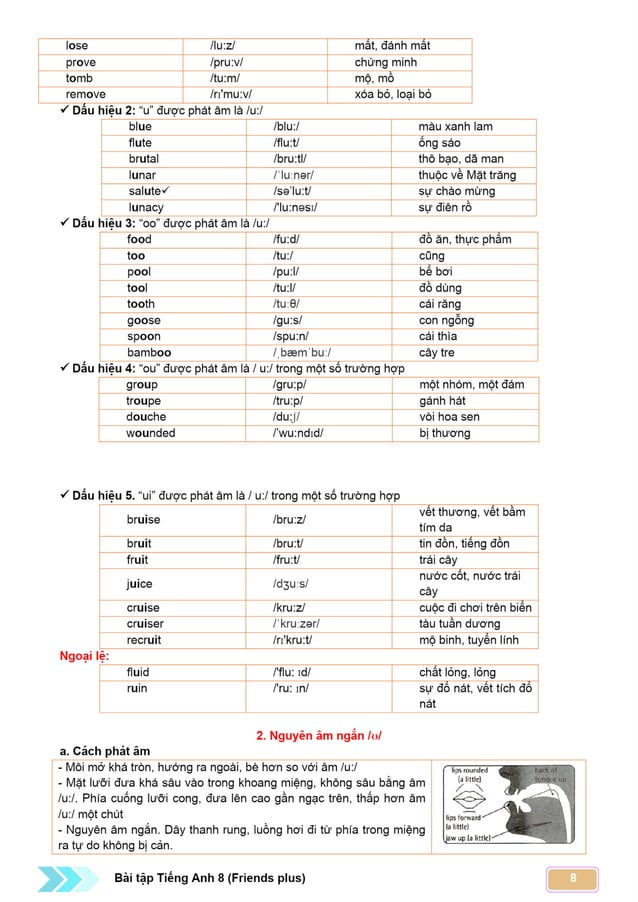 BÀI TẬP BỔ TRỢ TIẾNG ANH LỚP 8 CẢ NĂM - FRIENDS PLUS - B﻿ẢN ĐẸP - CÓ ...