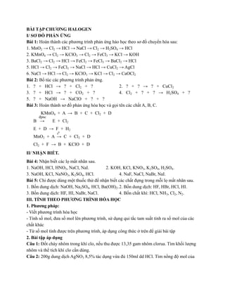 Bài tập chương halogen | DOCX