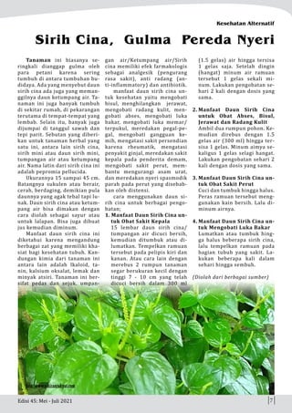 Bitranet edisi 45 | PDF