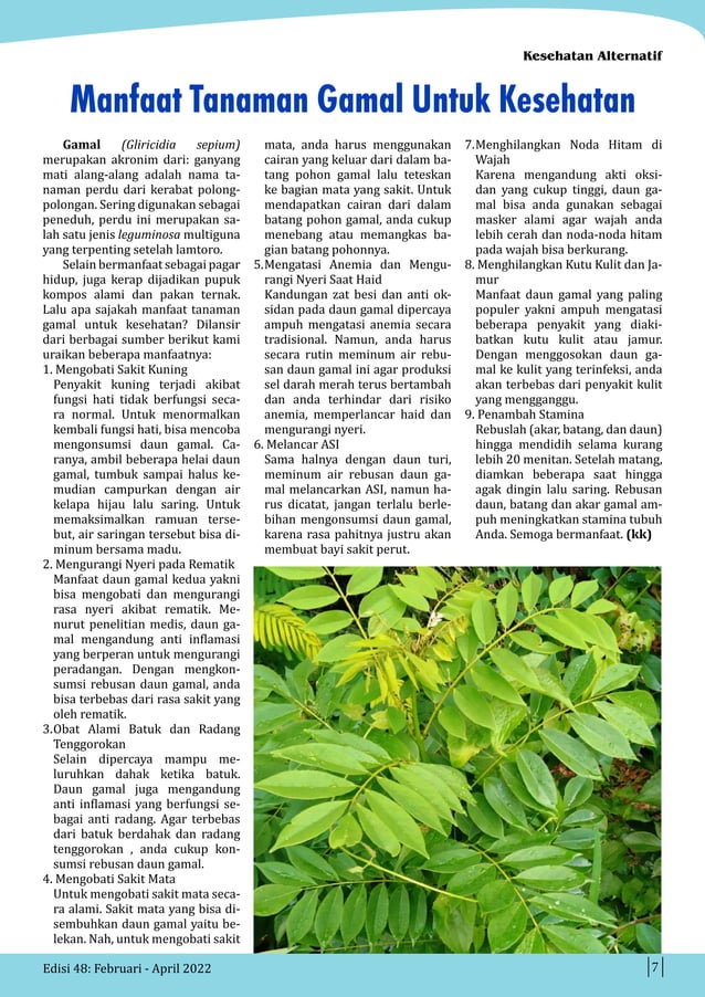 BITRANET edisi 48 | PDF