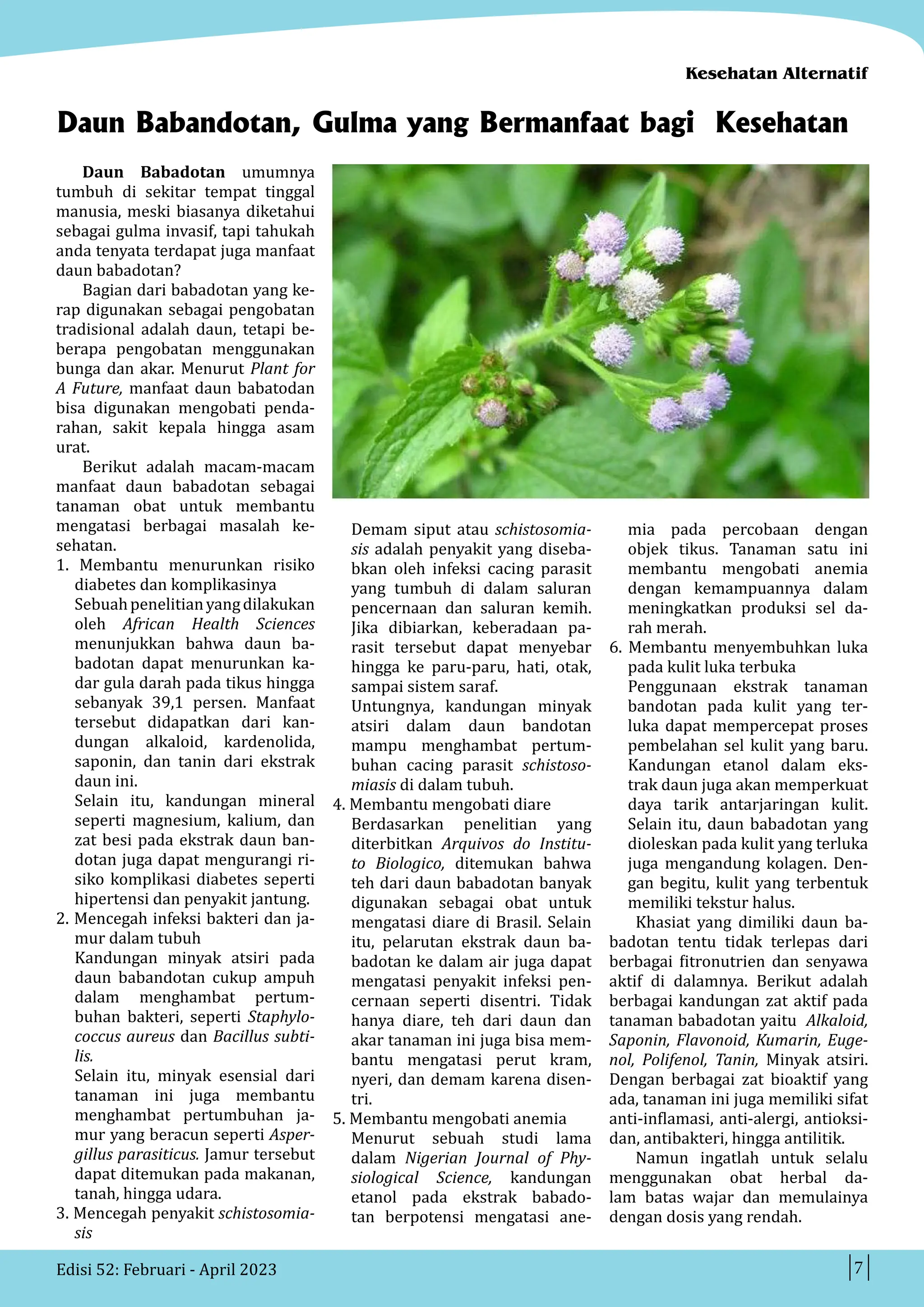 BITRANET edisi 52 dengan Tema "sehat dengan pengobatan tradisional" | PDF