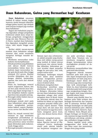 BITRANET edisi 52 dengan Tema "sehat dengan pengobatan tradisional" | PDF