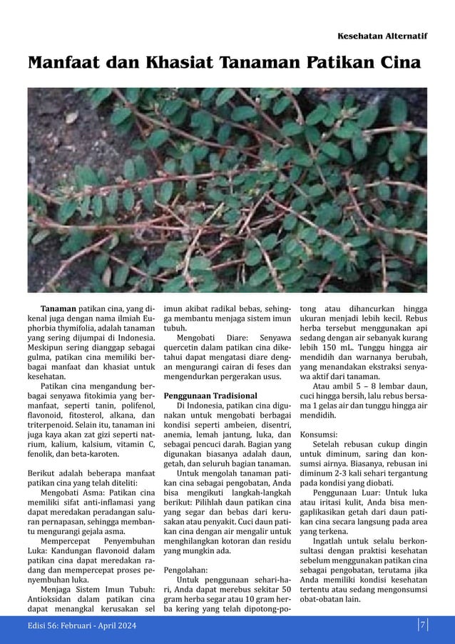 BITRANET edisi 56. Pemanfaatan Sampah bagi Masyarakat Desa | PDF