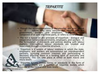 bitripartite and tripartite by Apurva & Sejal.pptx