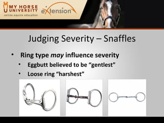 Bits And Biting (Spooner) | PPT | Free Download