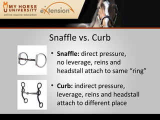 Bits And Biting (Spooner) | PPT