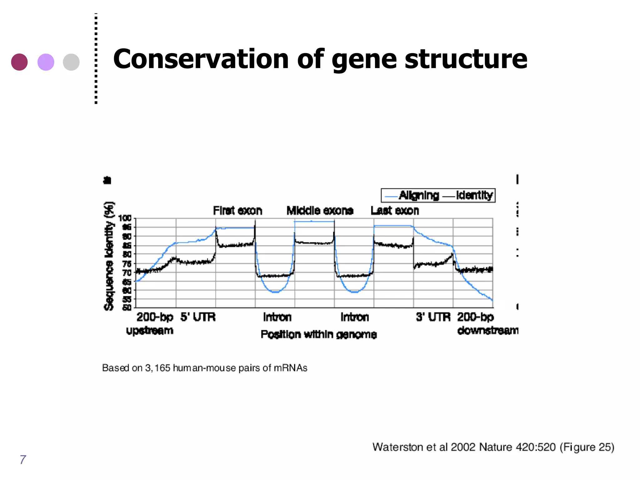BITS - Introduction to comparative genomics | PDF
