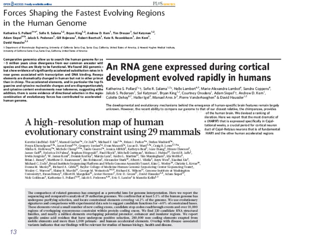 BITS - Introduction to comparative genomics | PDF | Databases | Computer Software and Applications