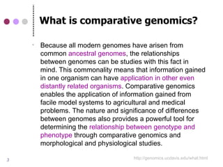 BITS - Introduction to comparative genomics | PDF