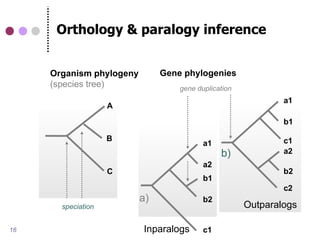BITS - Comparative genomics: gene family analysis | PDF