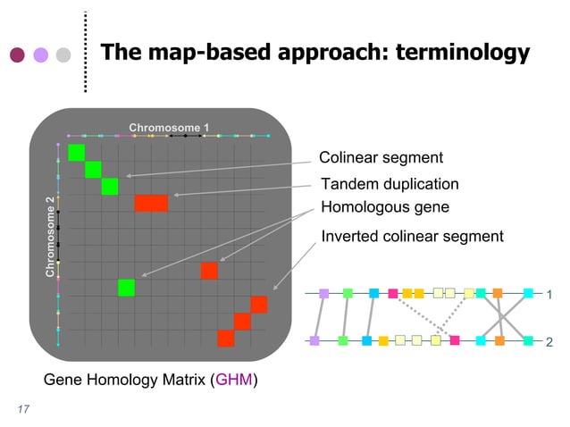 BITS - Comparative genomics on the genome level | PDF