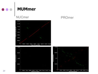 BITS - Comparative genomics on the genome level | PDF
