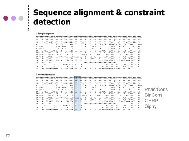 BITS - Comparative genomics on the genome level | PDF
