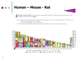 BITS - Comparative genomics on the genome level | PDF