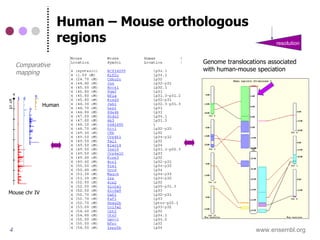 BITS - Comparative genomics on the genome level | PDF