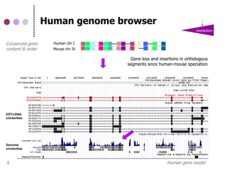 BITS - Comparative genomics on the genome level | PDF