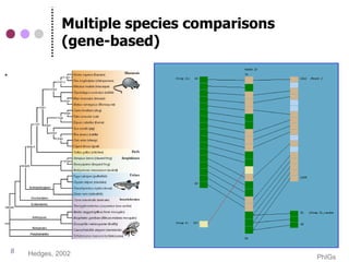 BITS - Comparative genomics on the genome level | PDF