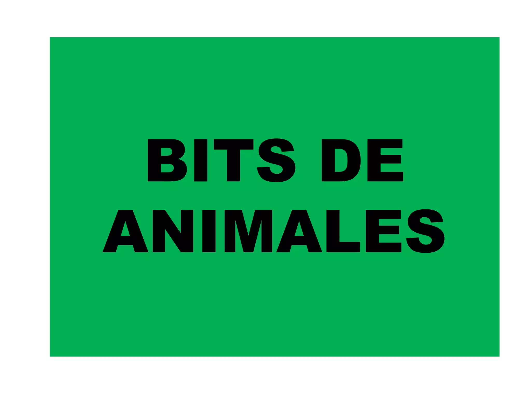 Bits de animales | PPTX