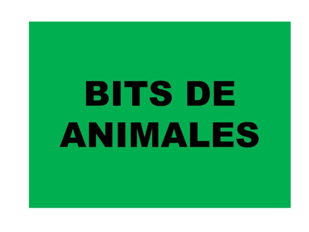 Bits de animales | PPTX