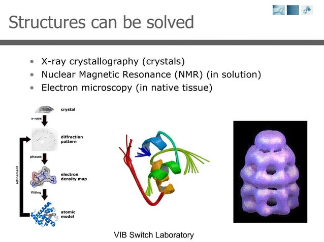 Bits protein structure | PPT