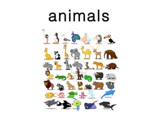 Bits Starters (animals) | PPT