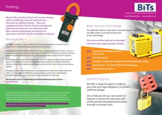 BiTs Training Flyer | PDF