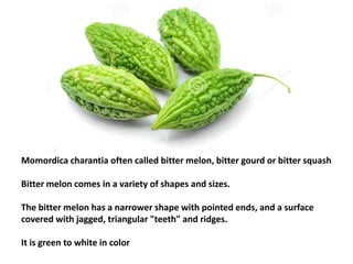 Bitter gourd _ Digital Analysis | PPT