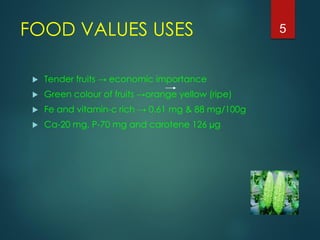 Bitter gourd | PDF
